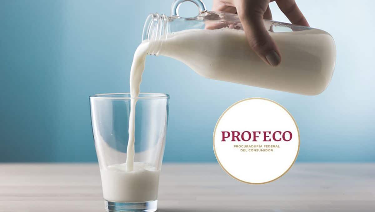 Profeco: esta es la mejor leche en el mercado | Luz Noticias