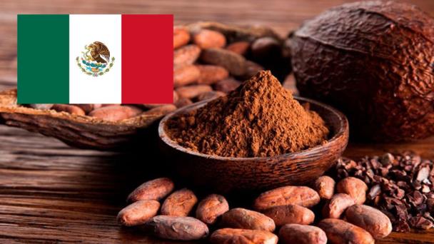 Día internacional del cacao: estos son sus 7 usos más populares | Luz ...